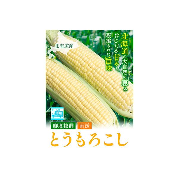■お礼品詳細　・配送方法：クール便(冷蔵)　・賞味期限：要冷蔵で発送から5日■お申し込み・配送・その他　・発送時期：R8年8月上旬〜9月下旬　・申込受付期間：R8年7月27日まで　・配達外のエリア：　・寄付証明書の送付時期目安：寄付金決済完...