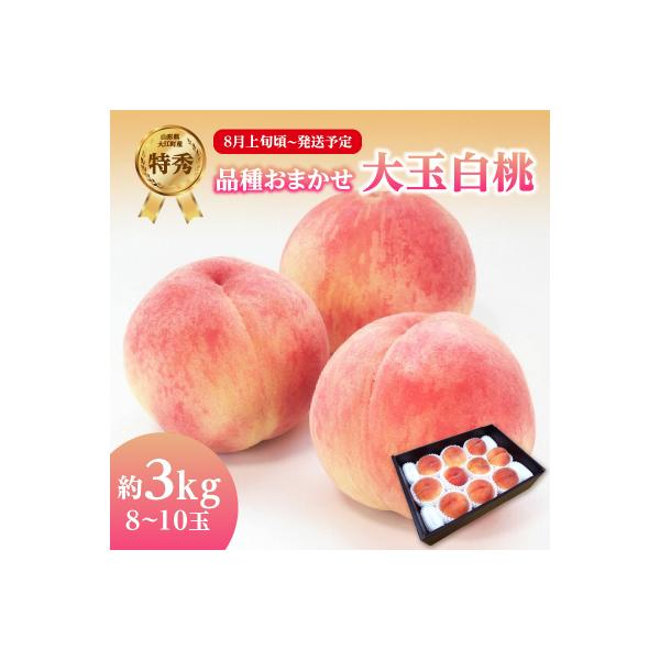 ■お礼品詳細　・配送方法：冷蔵便■お申し込み・配送・その他　・発送時期：2026年8月上旬頃から9月中旬頃までに順次発送予定（お届け時間帯指定可）　・申込受付期間：期間限定:2026年8月31日まで　・配達外のエリア：離島、沖縄県　・寄付証...