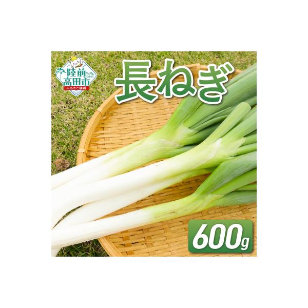 ■お礼品詳細　・内容量：長ねぎ：約600g　・消費期限：発送日から1週間程度　・配送方法：常温　・発送期日：決済から1ヶ月以内に発送予定(天候や生育状況により、発送時期は多少前後いたします。)　・アレルギー品目：特定原材料並びに、特定原材料...