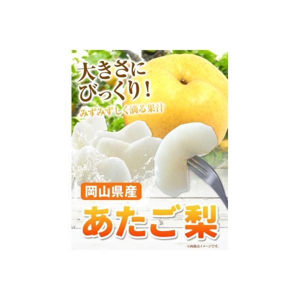 ■お礼品詳細■お申し込み・配送・その他　・発送時期：11月下旬-12月下旬頃出荷（お届け時間帯指定可）　・申込受付期間：通年　・配達外のエリア：離島、北海道、沖縄県　・寄付証明書の送付時期目安：申込完了日から２週間程度　・提供元：矢掛町