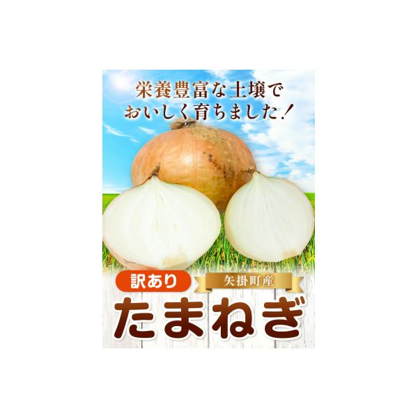 ■お礼品詳細■お申し込み・配送・その他　・発送時期：5月末-7月中旬頃出荷（お届け時間帯指定可）　・申込受付期間：通年　・配達外のエリア：　・寄付証明書の送付時期目安：申込完了日から２週間程度　・提供元：矢掛町
