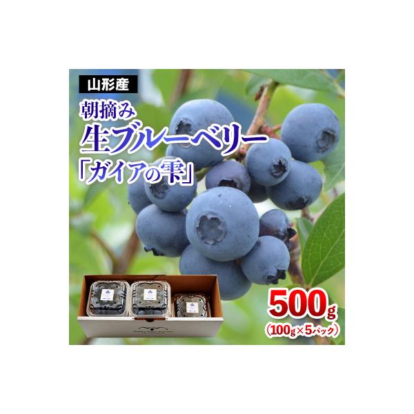 ■お礼品詳細　・配送方法：冷蔵　・事業者：株式会社スプリングス■お申し込み・配送・その他　・発送時期：2026年07月05日頃〜2026年08月05日頃※状況により配送時期が前後する場合がございます。(着日指定不可)（お届け時間帯指定可）　...