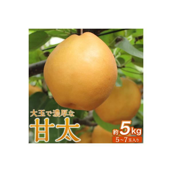 ■お礼品詳細　・賞味期限：出荷後7日程度 暗冷所にて保管ください 高温になりやすい場合は野菜室保管をおすすめします　・発送種別：通常便　・事業者：松崎果樹園■お申し込み・配送・その他　・発送時期：2026年10月下旬〜11月上旬　・申込受付...