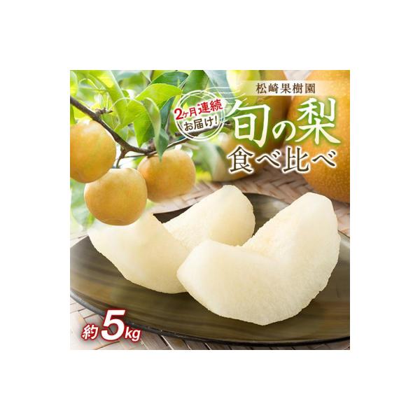 ■お礼品詳細　・賞味期限：出荷後5〜7日程度 暗冷所にて保管ください 高温になりやすい場合は野菜室保管をおすすめします　・発送種別：通常便　・事業者：松崎果樹園■お申し込み・配送・その他　・発送時期：2026年8月中旬〜11月下旬　・申込受...