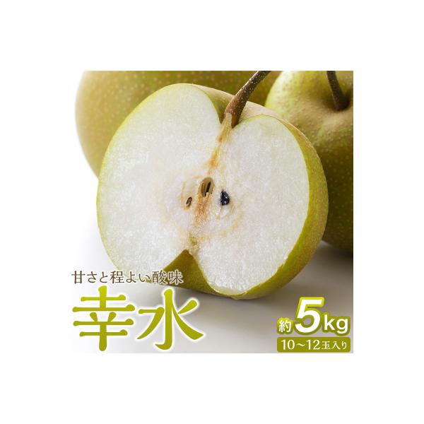 ■お礼品詳細　・賞味期限：出荷後5日程度 暗冷所にて保管ください 高温になりやすい場合は野菜室保管をおすすめします　・発送種別：通常便　・事業者：松崎果樹園■お申し込み・配送・その他　・発送時期：2026年8月中旬〜8月下旬　・申込受付期間...