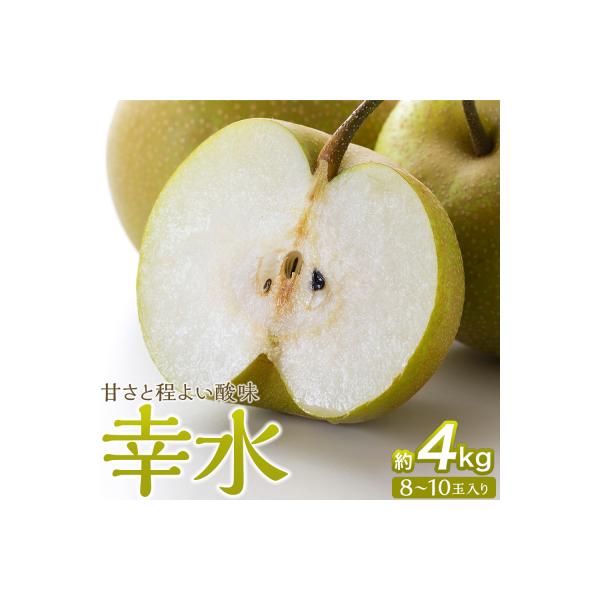 ■お礼品詳細　・賞味期限：出荷後5日程度 暗冷所にて保管ください 高温になりやすい場合は野菜室保管をおすすめします　・発送種別：通常便　・事業者：松崎果樹園■お申し込み・配送・その他　・発送時期：2026年8月中旬〜8月下旬　・申込受付期間...