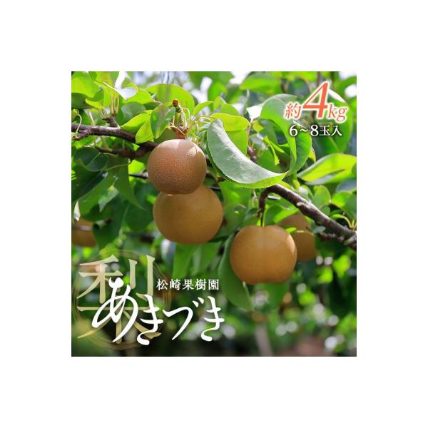 ■お礼品詳細　・賞味期限：出荷後7日程度 暗冷所にて保管ください 高温になりやすい場合は野菜室保管をおすすめします　・発送種別：通常便　・事業者：松崎果樹園■お申し込み・配送・その他　・発送時期：2026年9月下旬〜10月上旬　・申込受付期...