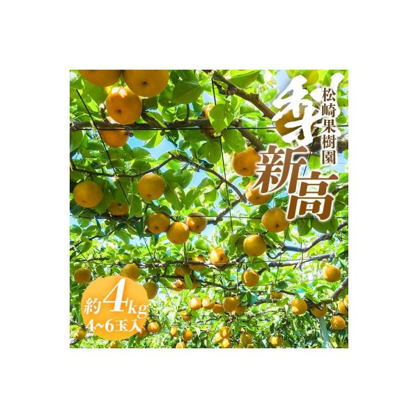 ■お礼品詳細　・賞味期限：出荷後7日程度 暗冷所にて保管ください 高温になりやすい場合は野菜室保管をおすすめします　・発送種別：通常便　・事業者：松崎果樹園■お申し込み・配送・その他　・発送時期：2026年10月上旬〜10月下旬　・申込受付...