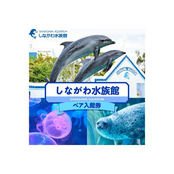 ■お礼品詳細　・容量：しながわ水族館ペア入館券[大人2名分]　・有効期限（１）：2026年6月30日までのお申し込み分は 【2026年9月30日まで】　・有効期限（２）：2026年7月1日から2026年12月31日までのお申し込み分は 【2...