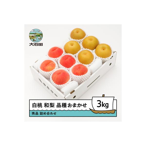 ■お礼品詳細　・産地：山形県　・配送方法：冷蔵　・賞味期限：発送日から5日程度　・提供事業者：株式会社 東根農産センター■お申し込み・配送・その他　・発送時期：8月下旬〜9月下旬頃に順次発送※生育状況により発送が前後する場合がございます。　...