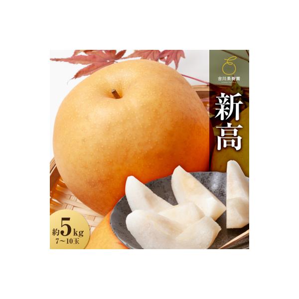 ■お礼品詳細　・賞味期限：出荷後7日程度※暗冷所保管※高温時は野菜室保管　・発送種別：通常便　・事業者：吉川果樹園■お申し込み・配送・その他　・発送時期：10月中旬以降準備でき次第、順次発送いたします。（お届け時間帯指定可）　・申込受付期間...