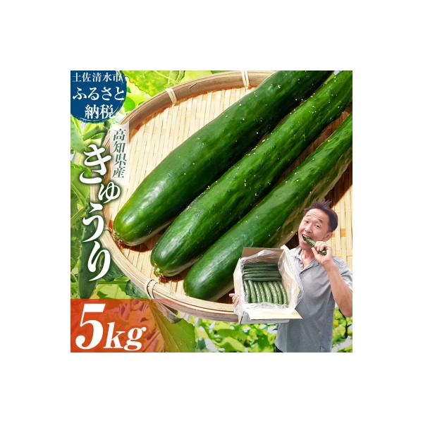 ■お礼品詳細　・内容量：きゅうり 5kg　※1箱に5キロをお入れしてお届けします。（パック詰めではありません）　・賞味期限：出荷日より7日　・保存方法：冷蔵（野菜室）保存　・配送方法：冷蔵便　・事業者：峯本農園■お申し込み・配送・その他　・...