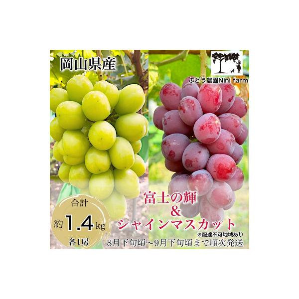■お礼品詳細　・賞味期限：出荷日より冷蔵10日　・配送方法：冷蔵配送　・事業者：Nini farm　・備考：お届け日、時間帯の指定は申し訳ございませんがお受けできません。■お申し込み・配送・その他　・発送時期：2026年8月25日〜2026...
