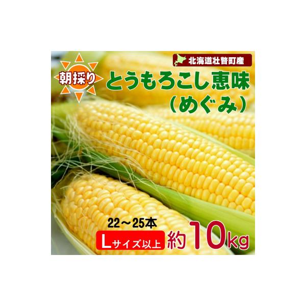 ■お礼品詳細　・内容量：約10kg(22〜25本)■お申し込み・配送・その他　・発送時期：8月下旬から9月上旬頃まで　・申込受付期間：2026年8月31日まで　・配達外のエリア：離島、沖縄県　・寄付証明書の送付時期目安：申込完了日から２週間...