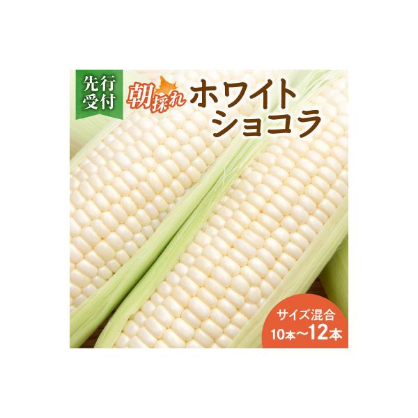 ■お礼品詳細　・配送温度帯：冷蔵■お申し込み・配送・その他　・発送時期：2026年8月より順次発送いたします。 ※天候等により収穫時期が変動するため、事前の連絡はできかねます。 （お届け時間帯指定可）　・申込受付期間：2026年7月31日ま...