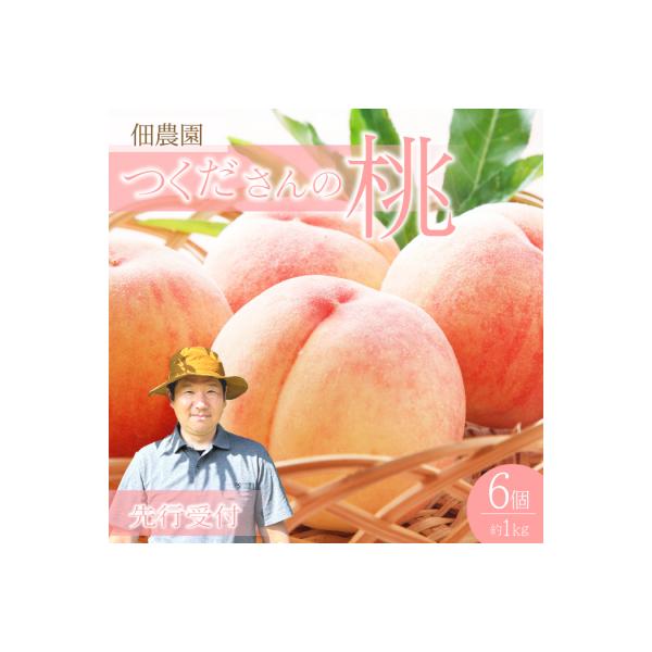 ■お礼品詳細■お申し込み・配送・その他　・発送時期：2026年7月下旬〜2026年9月上旬　・申込受付期間：2026年7月31日まで受け付け　・配達外のエリア：離島、北海道、沖縄県　・寄付証明書の送付時期目安：申込完了日から２週間程度　・提...