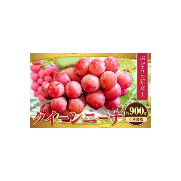 ■お礼品詳細■お申し込み・配送・その他　・発送時期：9月中旬-11月上旬頃出荷（お届け時間帯指定可）　・申込受付期間：10月上旬ごろまで ※但し、予定数量に達し次第終了　・配達外のエリア：　・寄付証明書の送付時期目安：申込完了日から２週間程...