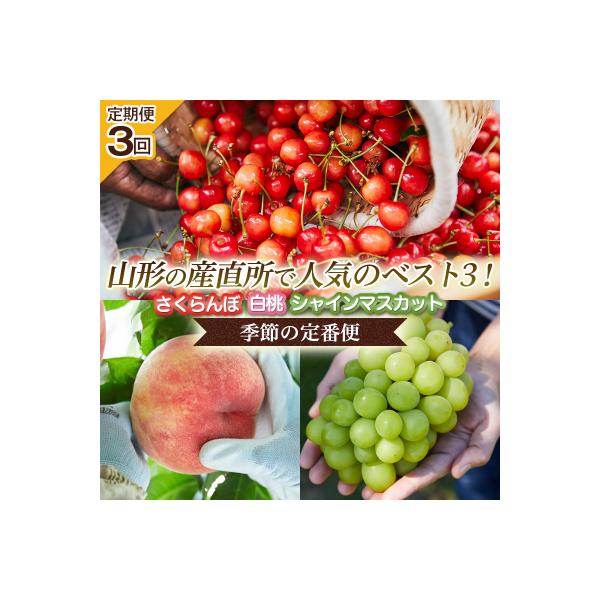 ■お礼品詳細　・配送方法：冷蔵　・事業者名：株式会社森からの恵み　・アレルギー情報：[もも]■お申し込み・配送・その他　・発送時期：※山形市では仕様上、お礼品発送時のお知らせメールを送付できかねます。※マイページ上の「配送状況」には、お礼品...
