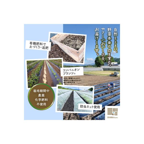 ■お礼品詳細■お申し込み・配送・その他　・発送時期：「お礼品の内容・特徴」欄に記載の　■発送期日　をご確認ください。　※GW、お盆、年末年始等の長期休業のため、発送期日より遅れる場合があります。　※恐れ入りますが、大館市では仕様上、お礼品発...