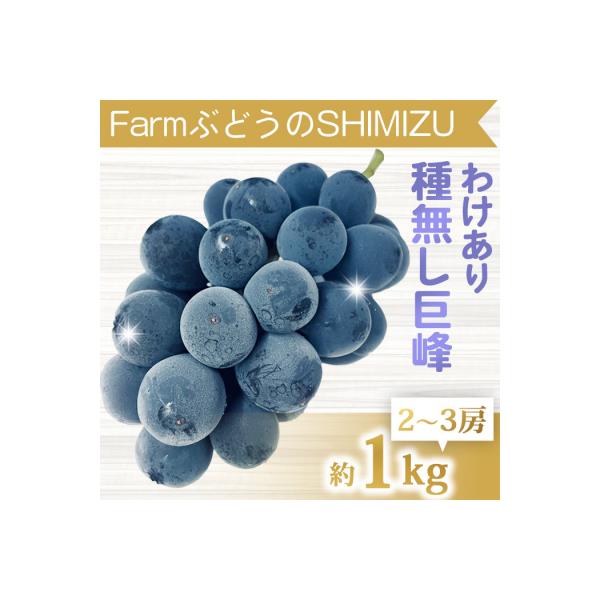 ■お礼品詳細　・内容量：わけあり種無し巨峰 約1kg（2〜3房）　・消費期限：冷蔵保存で5日以内。生物ですので、お早めにお召し上がりください　・発送期日：2026年9月中旬〜10月上旬 ※月曜日、金曜日の発送はお休みとなります。　・配送方法...