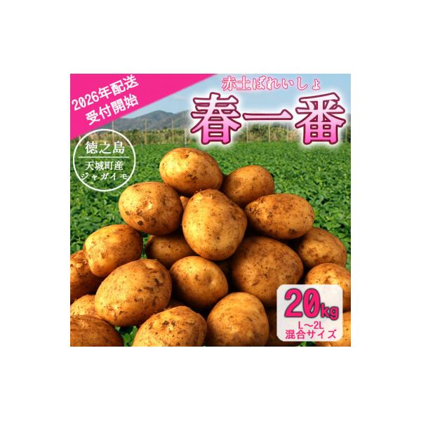 ■お礼品詳細■お申し込み・配送・その他　・発送時期：2026年2月上旬発送開始いたします。 ※収穫状況やご注文時期によっては、発送時期が前後する場合のございます。予めご了承ください。　・申込受付期間：在庫終了まで　・配達外のエリア：　・寄付...