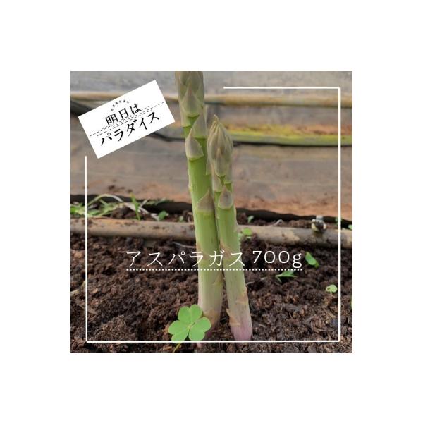 ■お礼品詳細　・提供元事業者：冨士川農園■お申し込み・配送・その他　・発送時期：3月上旬〜4月上旬、6月上旬〜8月下旬  ※4月〜5月は収穫の都合で発送いたしかねます。　・申込受付期間：〜2026年8月上旬　・配達外のエリア：　・寄付証明書...