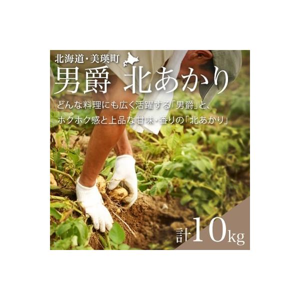 ■お礼品詳細■お申し込み・配送・その他　・発送時期：※令和8年10月上旬から11月下旬の発送を予定しておりますが、天候によっては発送時期が前後する場合があります。 あらかじめご了承ください。　・申込受付期間：令和8年10月下旬までの受付とな...