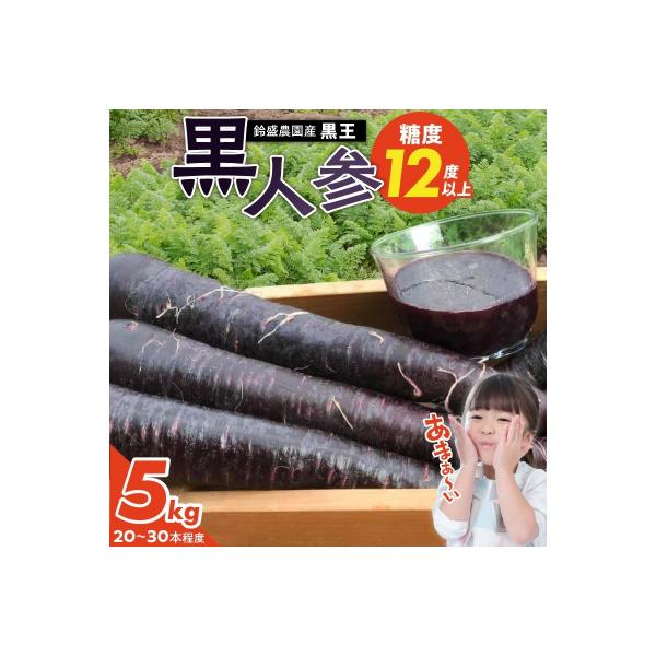 ■お礼品詳細　・容量：鈴盛農園産　黒人参　5kg（20〜30本程度）　・消費期限：到着後、約一ヶ月間 ※青果物ですのでお早めにお召し上がりください。　・アレルギー品目：特定原材料8品目は使用していません  特定原材料に準ずるもの20品目は使...