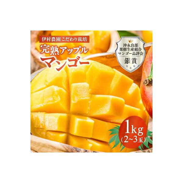 ■お礼品詳細　・内容量：完熟アップルマンゴー 1kg（2〜3玉）　・原材料名：マンゴー　・原産地：沖永良部島　・発送方法：冷蔵　・保存方法：冷蔵　・消費期限：冷蔵保存で1週間程度　・地場産品基準：和泊町で生産された返礼品（告示第5条第1号に...