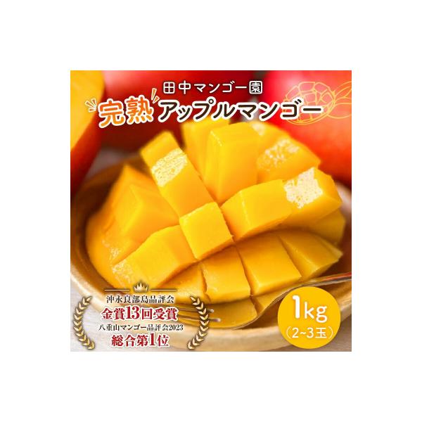 ■お礼品詳細　・内容量：完熟アップルマンゴー 1kg（2〜3玉）　・原材料名：マンゴー　・原産地：沖永良部島　・賞味期限：到着後7日間 ※お早めにお召し上がりください。　・配送方法：冷蔵　・地場産品基準：和泊町で生産された返礼品（告示第5条...