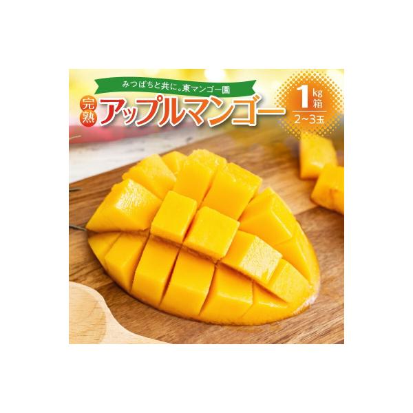 ■お礼品詳細　・内容量：完熟アップルマンゴー 1キロ箱（2〜3個入り）　・原材料名：マンゴー　・消費期限：冷暗所で10日程度 ※到着後はなるべくお早めにお召し上がりください。　・配送方法：冷蔵　・地場産品基準：和泊町で生産された返礼品（告示...