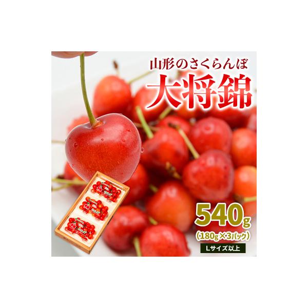 ■お礼品詳細　・配送方法：冷蔵　・事業者名：山形うまいずマーケット■お申し込み・配送・その他　・発送時期：2026年06月15日頃〜2026年07月15日頃※状況により配送時期が前後する場合がございます。(着日指定不可)※山形市では仕様上、...