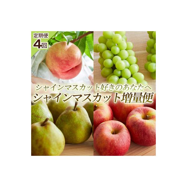 ■お礼品詳細　・配送方法：冷蔵　・事業者名：株式会社森からの恵み　・アレルギー情報：もも/りんご■お申し込み・配送・その他　・発送時期：★ご入金後、翌月もしくは翌々月以降に記載の商品から全4回お届けいたします★※山形市では仕様上、お礼品発送...