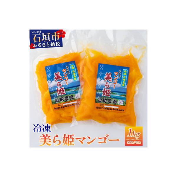 ■お礼品詳細　・内容量：冷凍美ら姫マンゴー 1kg (500g×2袋)　・賞味期限：1年　・配送方法：冷凍　・事業者：知花農園■お申し込み・配送・その他　・発送時期：ご入金確認後、1か月前後で発送いたします　・申込受付期間：通年　・配達外の...