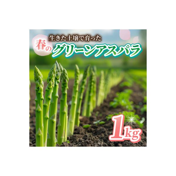 ■お礼品詳細　・内容量：アスパラガス1kg　・消費期限：発送から約5日以内　・保存方法：お受け取り後すぐ開封し濡らしたキッチンペーパーで切り口を包み保存袋に入れ立てて冷蔵室(約3℃)で保存　・配送方法：冷蔵■お申し込み・配送・その他　・発送...