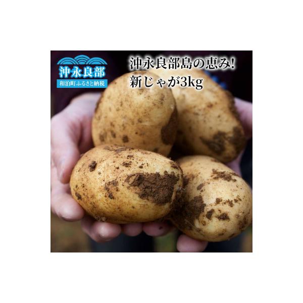 ■お礼品詳細　・内容量：新じゃが 3kg　・配送方法：常温　・賞味期限：冷暗所保管で約1ヶ月（発芽した部分はくり抜いてご使用ください）　・注意事項：※天候により1週間〜10日程度遅れる場合があります。　・地場産品基準：和泊町で製造・加工され...