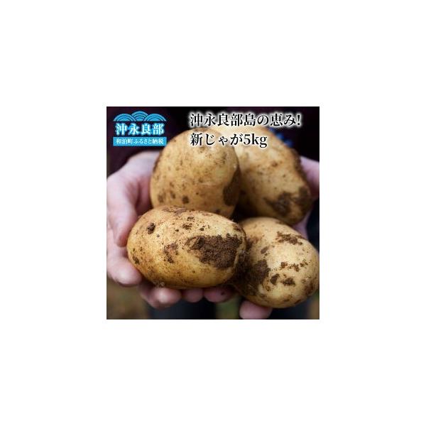 ■お礼品詳細　・内容量：新じゃが 5kg　・配送方法：常温　・賞味期限：冷暗所保管で約1ヶ月（発芽した部分はくり抜いてご使用ください）　・注意事項：※天候により1週間〜10日程度遅れる場合があります。　・地場産品基準：和泊町で製造・加工され...