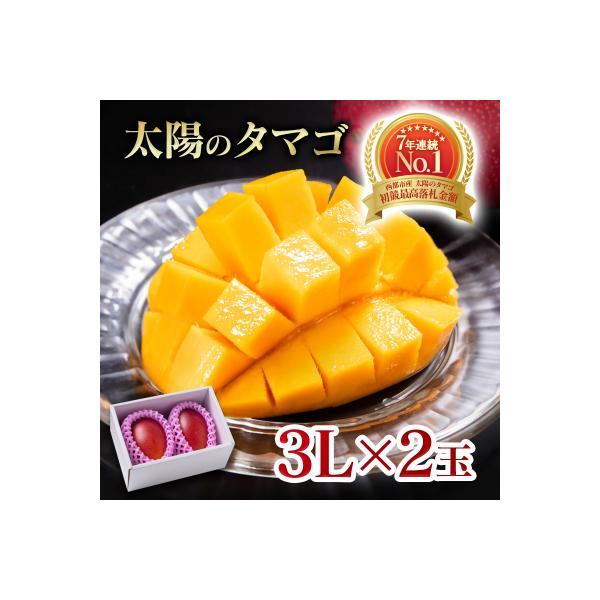 ■お礼品詳細　・内容量：太陽のタマゴ　3L×2玉（合計約900g）　・消費期限：出荷日より１週間程度（冷蔵庫に保管の上、お早めにお召し上がりください）　・発送方法：冷蔵便　・提供事業者：株式会社Framework■お申し込み・配送・その他　...