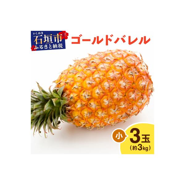 ■お礼品詳細　・容量：ゴールドバレル 小 3玉（約3kg）　・消費期限：出荷日より3日程度　・受付：2026年7月下旬まで　・発送予定：2026年5月から順次発送　・配送方法：通常便　※2026年6月以降は冷蔵配送　・事業者：石垣さんちの石...