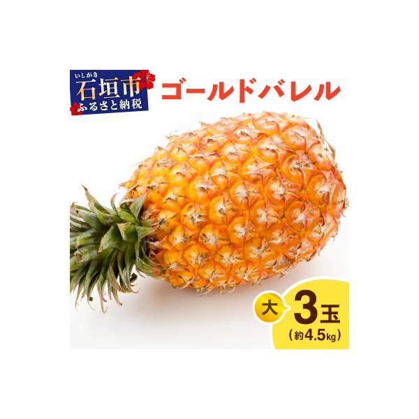 ■お礼品詳細　・容量：ゴールドバレル 大 3玉(約4.5kg)　・消費期限：出荷日より3日程度　・受付：2026年7月下旬まで　・発送予定：2026年5月から順次発送　・配送方法：通常便　※2026年6月以降は冷蔵配送　・事業者：石垣さんち...