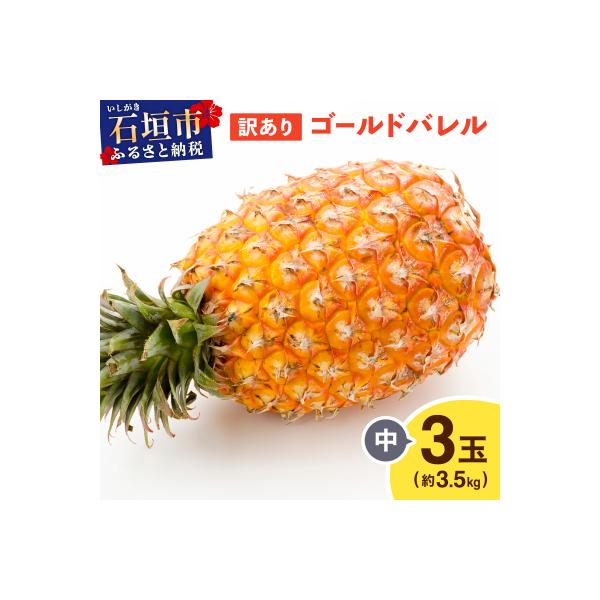 ■お礼品詳細　・容量：訳あり ゴールドバレル 中 3玉（約3.5kg）　・消費期限：出荷日より3日程度　・受付期間：2026年7月下旬まで　・発送予定：2026年5月から順次発送　・事業者：石垣さんちの石垣トロピカルファーム　・配送方法：常...