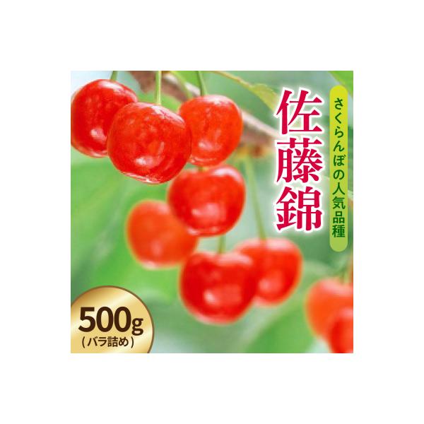 ■お礼品詳細　・提供事業者：山形おきたま農業協同組合■お申し込み・配送・その他　・発送時期：2026年6月中旬〜6月下旬頃発送予定 ※生育状況によって前後する場合がございます。（お届け時間帯指定可）　・申込受付期間：2026年5月19日まで...