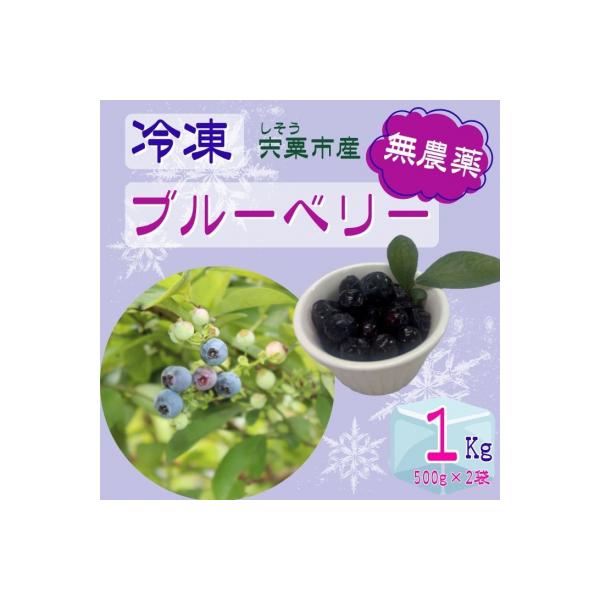 ■お礼品詳細　・取扱事業者：宍粟メイプル(株)　　・内容量：冷凍ブルーベリー　1kg（500ｇ×2）　・発送時期：入金確認後1か月程度　　・発送方法：冷凍便　・賞味期限：1年間■お申し込み・配送・その他　・発送時期：入金確認後1か月程度（お...