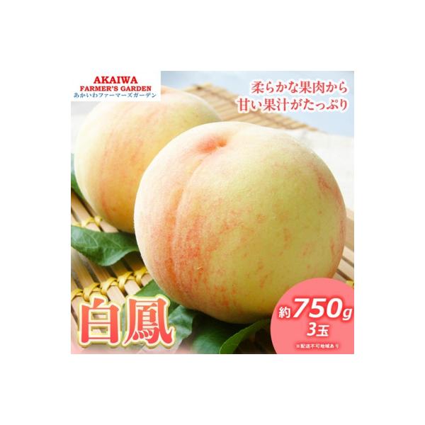 ■お礼品詳細　・配送方法：通常便■お申し込み・配送・その他　・発送時期：2026年7月上旬〜2026年7月中旬　・申込受付期間：2026年6月30日まで　・配達外のエリア：離島　・寄付証明書の送付時期目安：申込完了日から1〜2週間程度　・提...