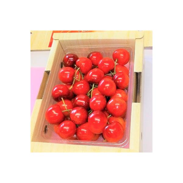 ■お礼品詳細　・配送方法：冷蔵便　・事業者：株式会社ENDOcorporation■お申し込み・配送・その他　・発送時期：2026年6月中旬〜6月下旬迄※ご不在日が多く配達が困難な場合、お礼品や配送先の変更をお願いする場合がございます。 　...