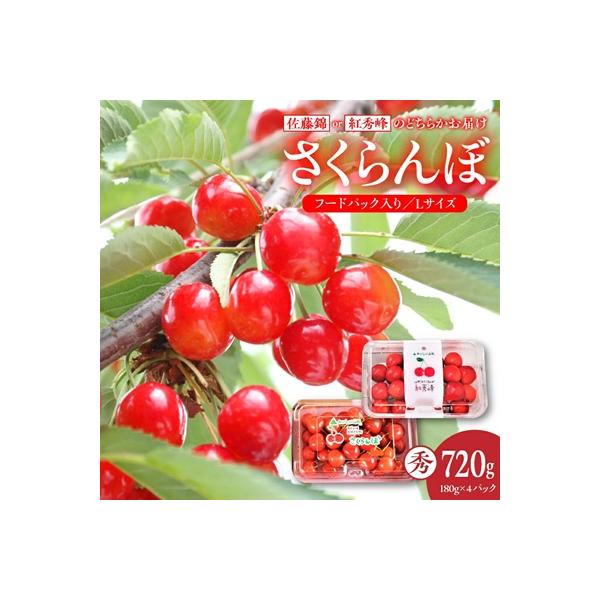 ■お礼品詳細　・配送方法：冷蔵便　・事業者：株式会社　丸勘山形青果市場■お申し込み・配送・その他　・発送時期：2026年6月上旬〜7月上旬迄※ご不在日が多く配達が困難な場合、お礼品や配送先の変更をお願いする場合がございます。 　・申込受付期...