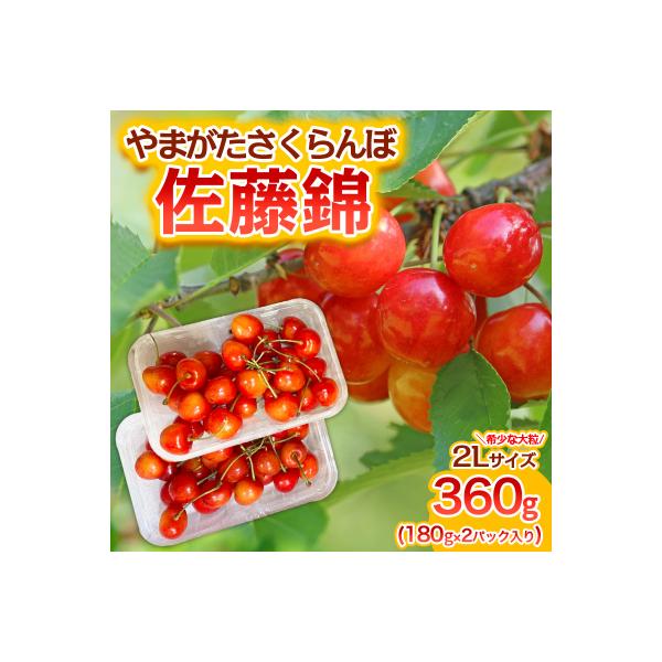 ■お礼品詳細　・配送方法：冷蔵　・事業者名：山形多田青果株式会社■お申し込み・配送・その他　・発送時期：2026年06月15日頃〜2026年07月05日頃※状況により配送時期が前後する場合がございます。(着日指定不可) ※山形市では仕様上、...
