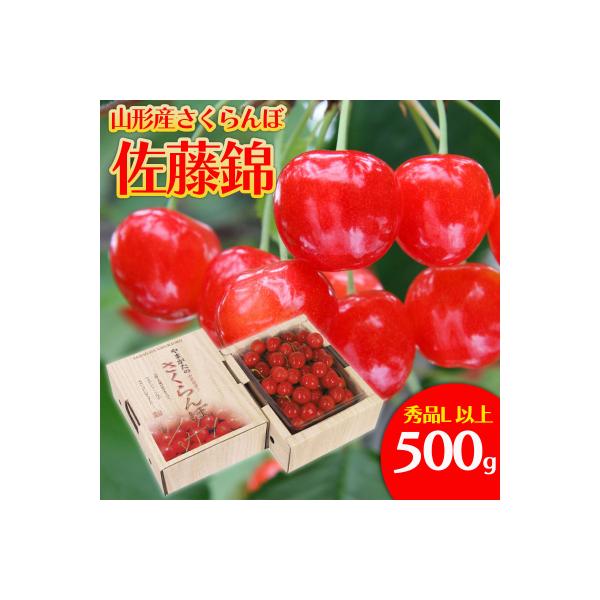 ■お礼品詳細　・配送方法：冷蔵　・事業者名：山形多田青果株式会社■お申し込み・配送・その他　・発送時期：2026年06月15日頃〜2026年07月05日頃※状況により配送時期が前後する場合がございます。(着日指定不可) ※山形市では仕様上、...