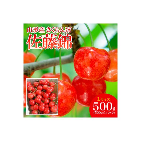 ■お礼品詳細　・配送方法：冷蔵　・事業者名：ヤマイチ青果株式会社■お申し込み・配送・その他　・発送時期：2026年06月10日頃〜2026年06月30日頃※状況により配送時期が前後する場合がございます。(着日指定不可) ※山形市では仕様上、...