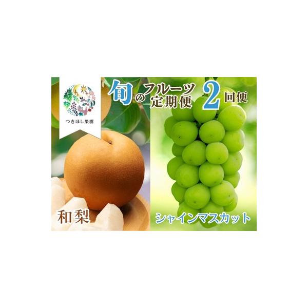 ■お礼品詳細　・配送方法：通常便　・事業者：つきほし果樹■お申し込み・配送・その他　・発送時期：◆和梨:2026年9月上旬〜10月中旬迄(常温) ◆シャインマスカット:2026年9月中旬〜10月下旬迄(常温)※ご不在日が多く配達が困難な場合...